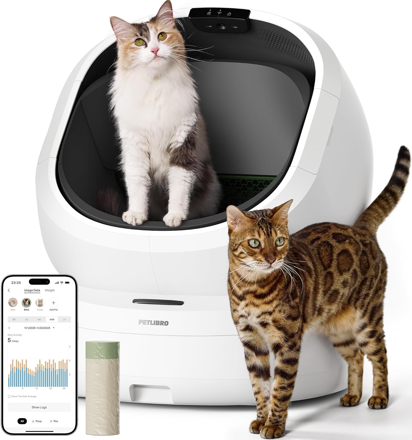 How To Make Your Own Natural Cat Litter At Home